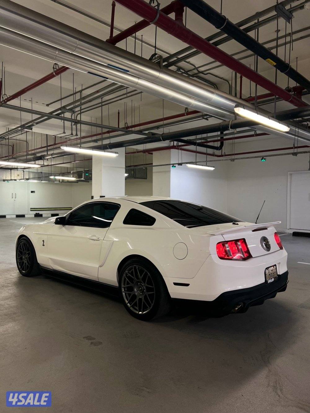 موستنق قير عادي 2011, No:20236647