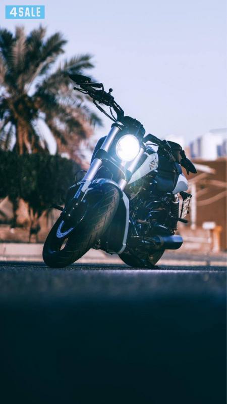 Buy Now Bicycle and bikes for sale in Kuwait l 4SALE